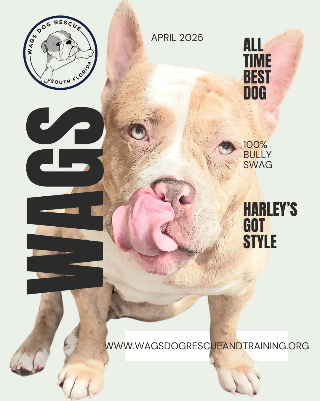 Wags Dog Rescue and Training